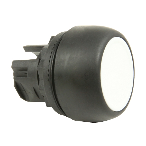 Allen-Bradley 800F Pushbutton 2 Speed White Vertical Horizontal Blank