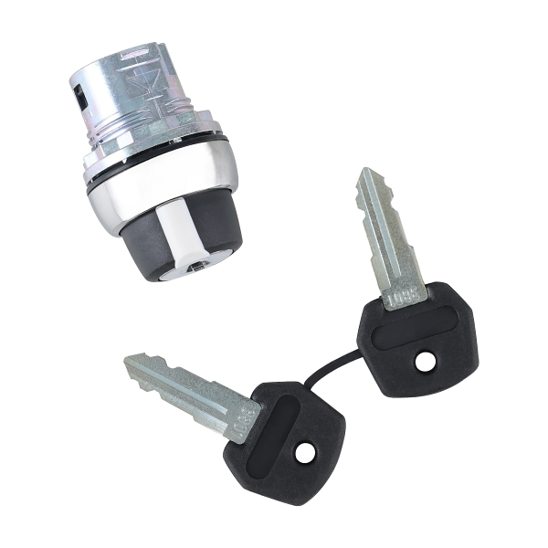 Sprecher and Schuh D7 Key Selector Switch 22.5 mm 2 Position Metal ...