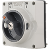 NHP ISO Surface Switch - Key, Lock in ON/OFF, 2 Pole 20A 250V AC, w/o ...